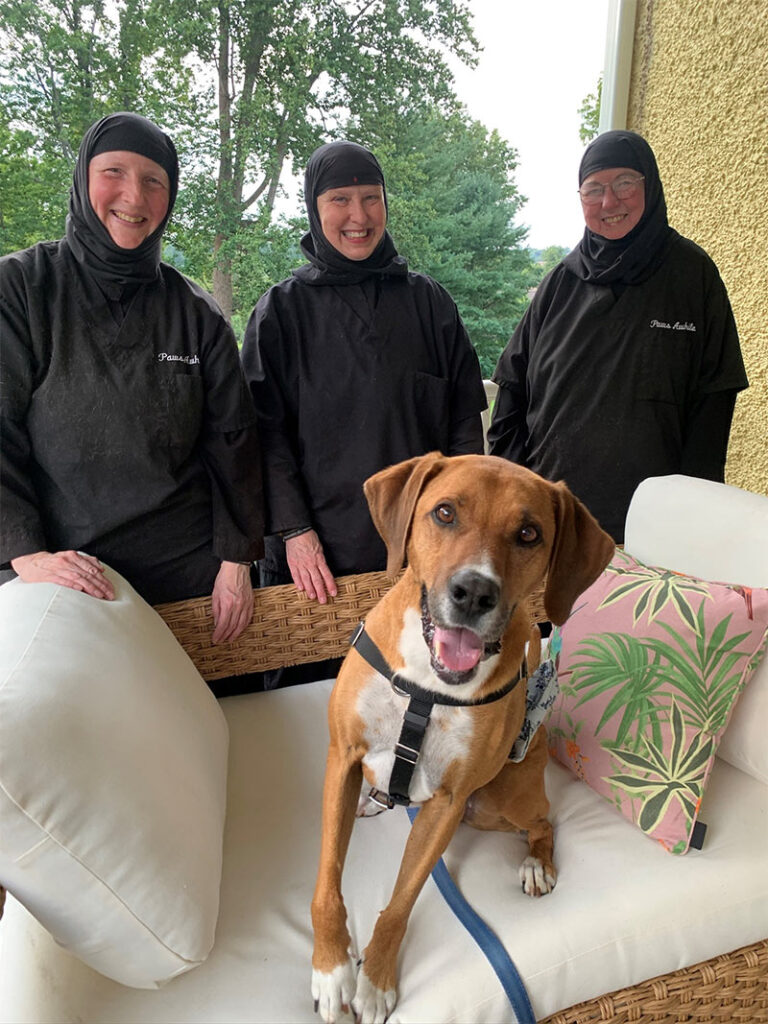 OUR STORY - Paws Awhile Pet Motel